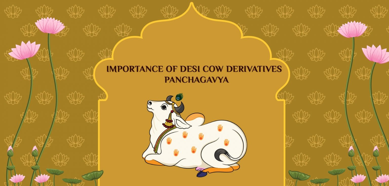 Harnessing the Power of Panchagavya: Understanding the Importance of ...